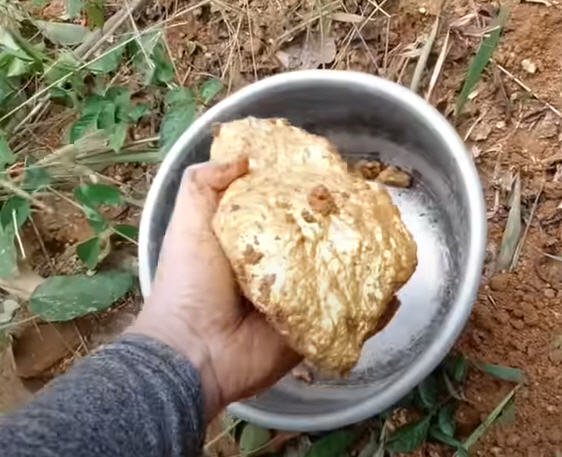 Fake Gold Detecting Video - California Gold Rush Miner